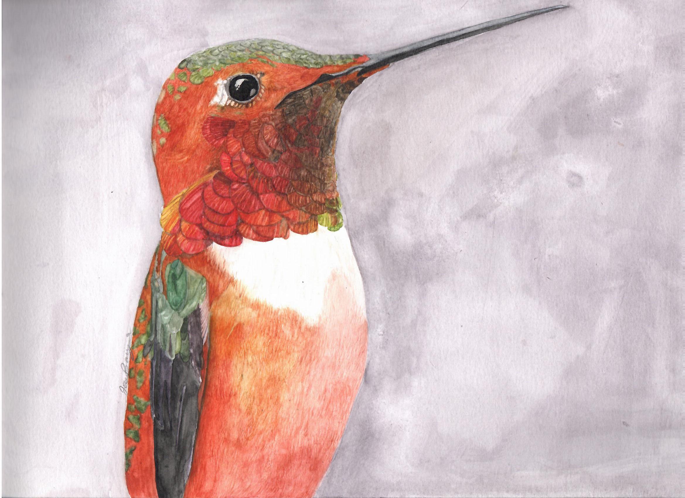 Mother of Divine Grace School